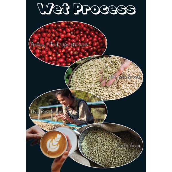 Coffee Posters - A3 and A2 sizes available now